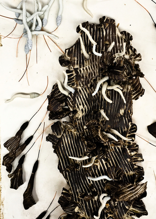 Slithy Toves WIP 3 | Carol Eddy : vessels, sculpture, works on paper